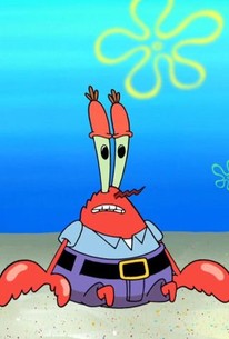 SpongeBob SquarePants: Season 9, Episode 7 | Rotten Tomatoes