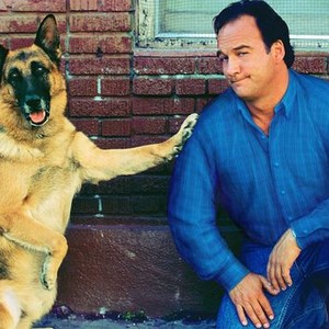 K-911 - Rotten Tomatoes