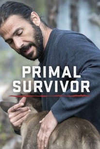 Primal Survivor: Season 4 | Rotten Tomatoes