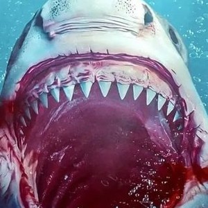 Sharkula - Rotten Tomatoes