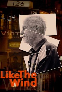 Like the Wind | Rotten Tomatoes