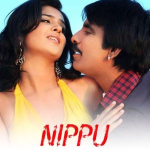 Nippu - Rotten Tomatoes