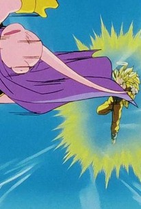 Dragon Ball Z: Season 8, Episode 245 | Rotten Tomatoes