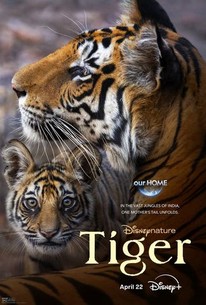 Tiger (2024) | Rotten Tomatoes