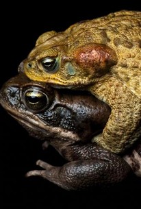 Man v. Animal: Season 1, Episode 5 | Rotten Tomatoes