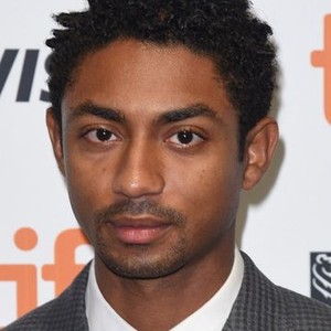 Steven Silver - Rotten Tomatoes