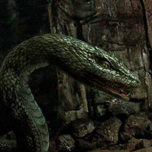 Snake 2 - Rotten Tomatoes
