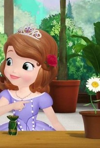 Sofia the First: Season 2, Episode 15 - Rotten Tomatoes