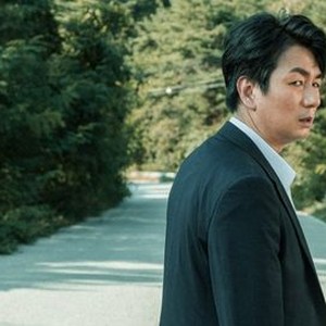 Roadkill - Rotten Tomatoes