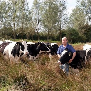 The Moo Man - Rotten Tomatoes