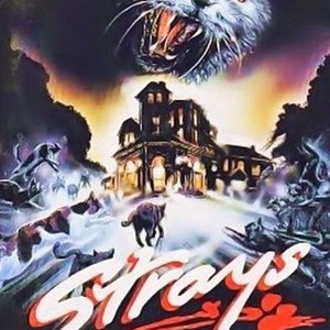 Strays - Rotten Tomatoes