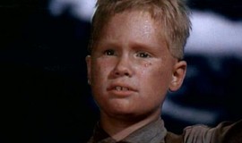 Shane - Rotten Tomatoes