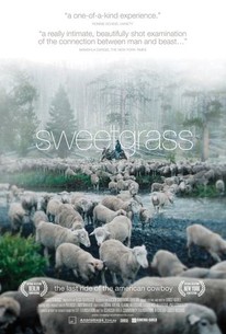 Sweetgrass | Rotten Tomatoes