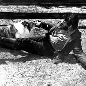 Bruce Cowling - Rotten Tomatoes