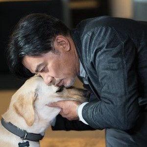 Little Q - Rotten Tomatoes