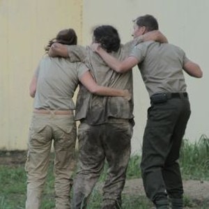 Robocroc - Rotten Tomatoes