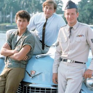 Arye Gross - Rotten Tomatoes