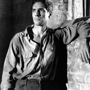 Bradford Dillman - Rotten Tomatoes