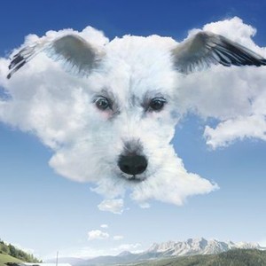 The Flying Dog - Rotten Tomatoes