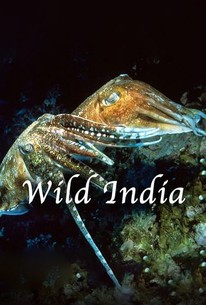 Wild India (1998) | Rotten Tomatoes