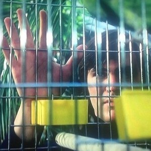 Alien Prey (1978) - Rotten Tomatoes