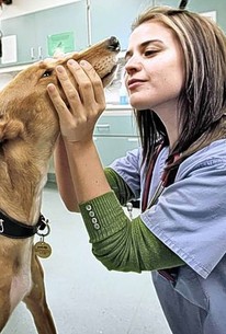 Vet School: Season 1, Episode 8 | Rotten Tomatoes