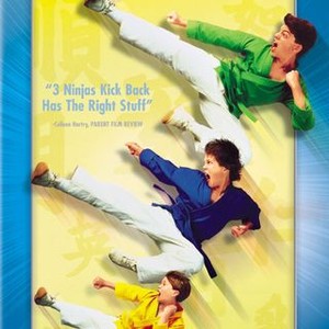 3 Ninjas Kick Back - Rotten Tomatoes