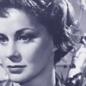 The Stranger's Hand - Rotten Tomatoes