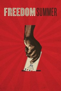 Freedom Summer | Rotten Tomatoes