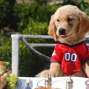 Air Buddies - Rotten Tomatoes