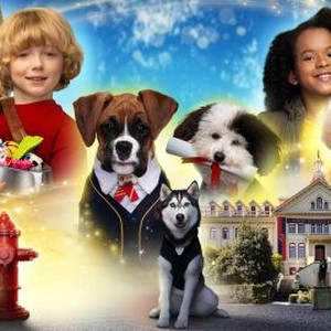 Pup Academy - Rotten Tomatoes