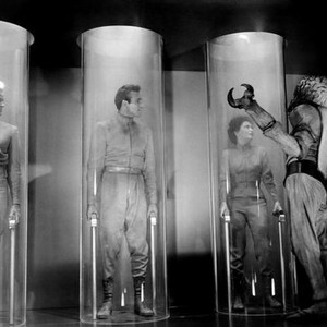 Rex Reason - Rotten Tomatoes