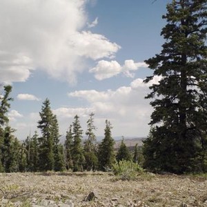 Horror in the High Desert - Rotten Tomatoes