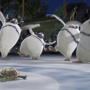 The Wild - Rotten Tomatoes