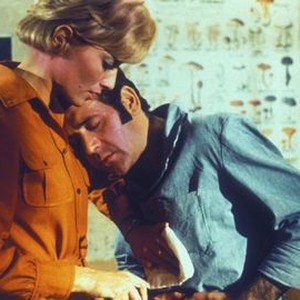 The Butcher - Rotten Tomatoes