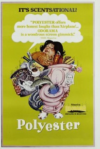 Polyester | Rotten Tomatoes