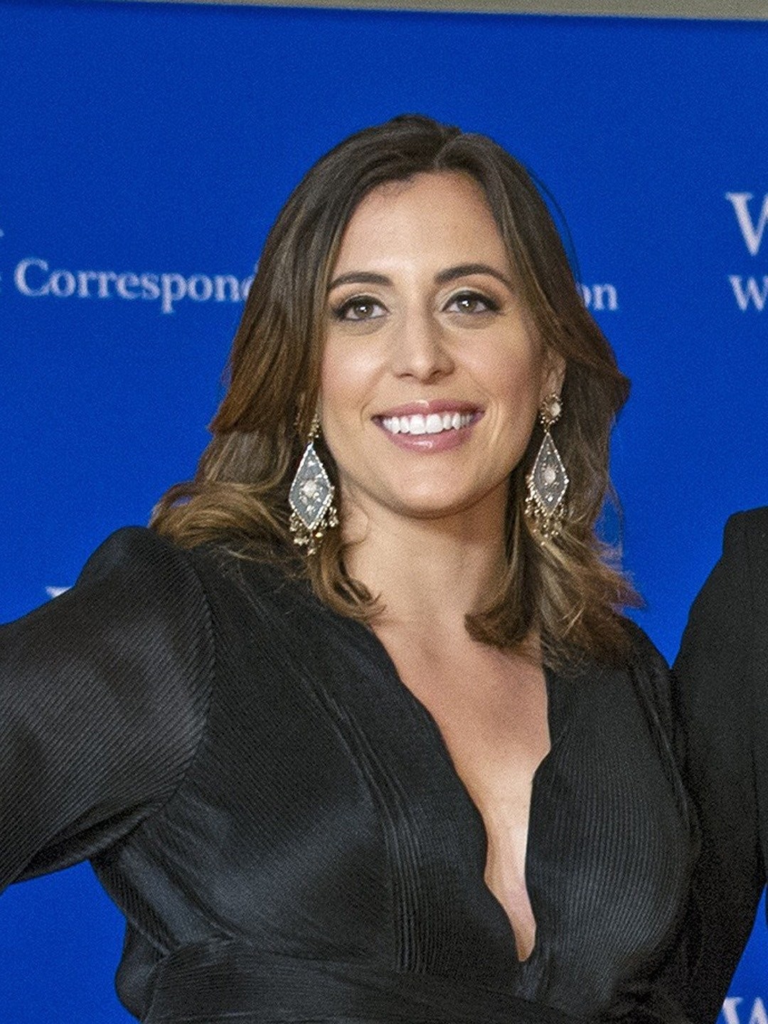 Hallie Jackson Pictures | Rotten Tomatoes