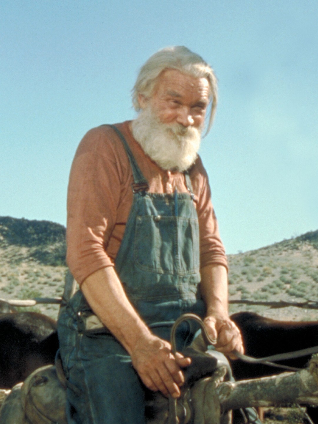 William Challee Pictures | Rotten Tomatoes