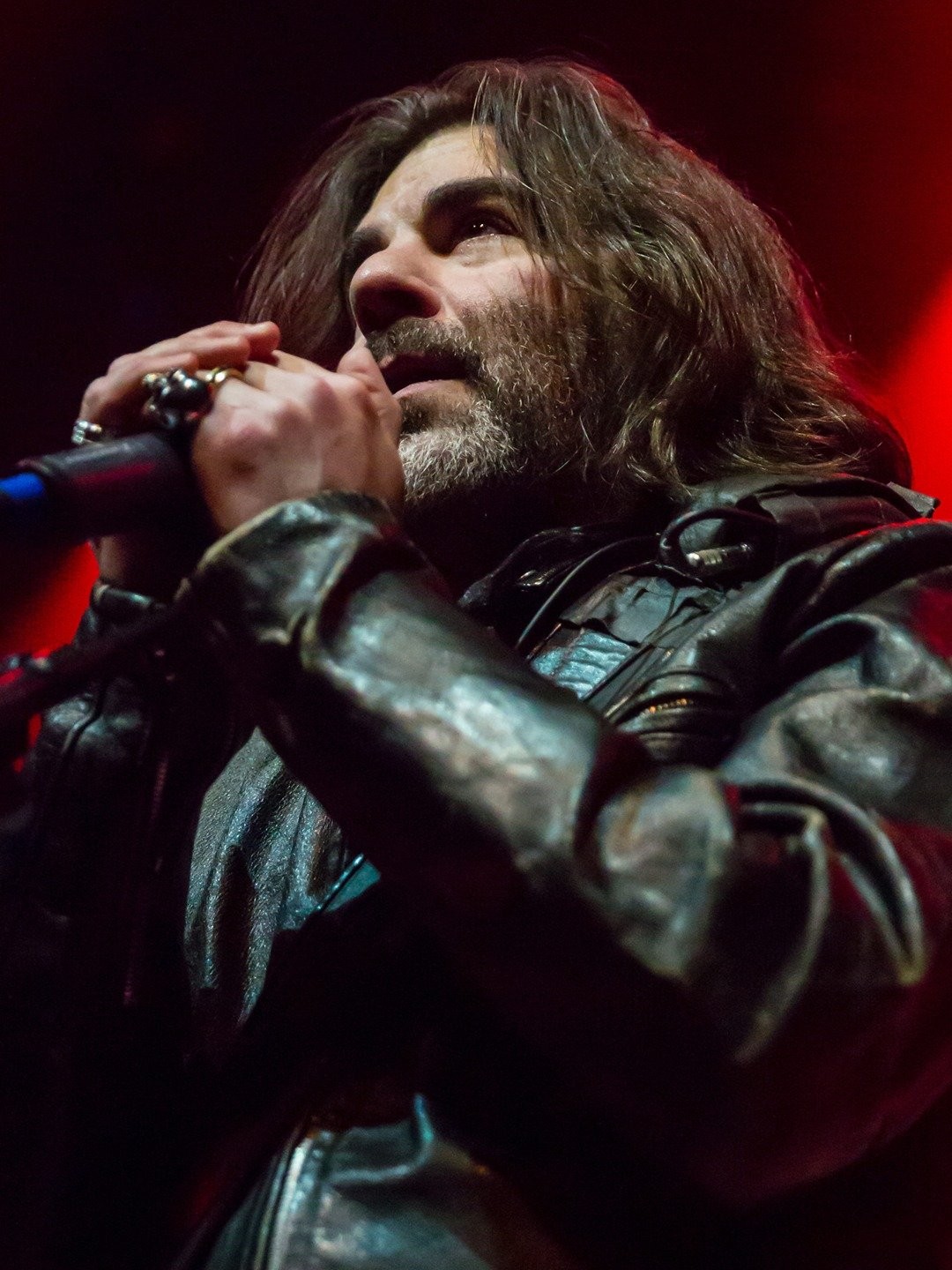 The Cringe Pictures | Rotten Tomatoes