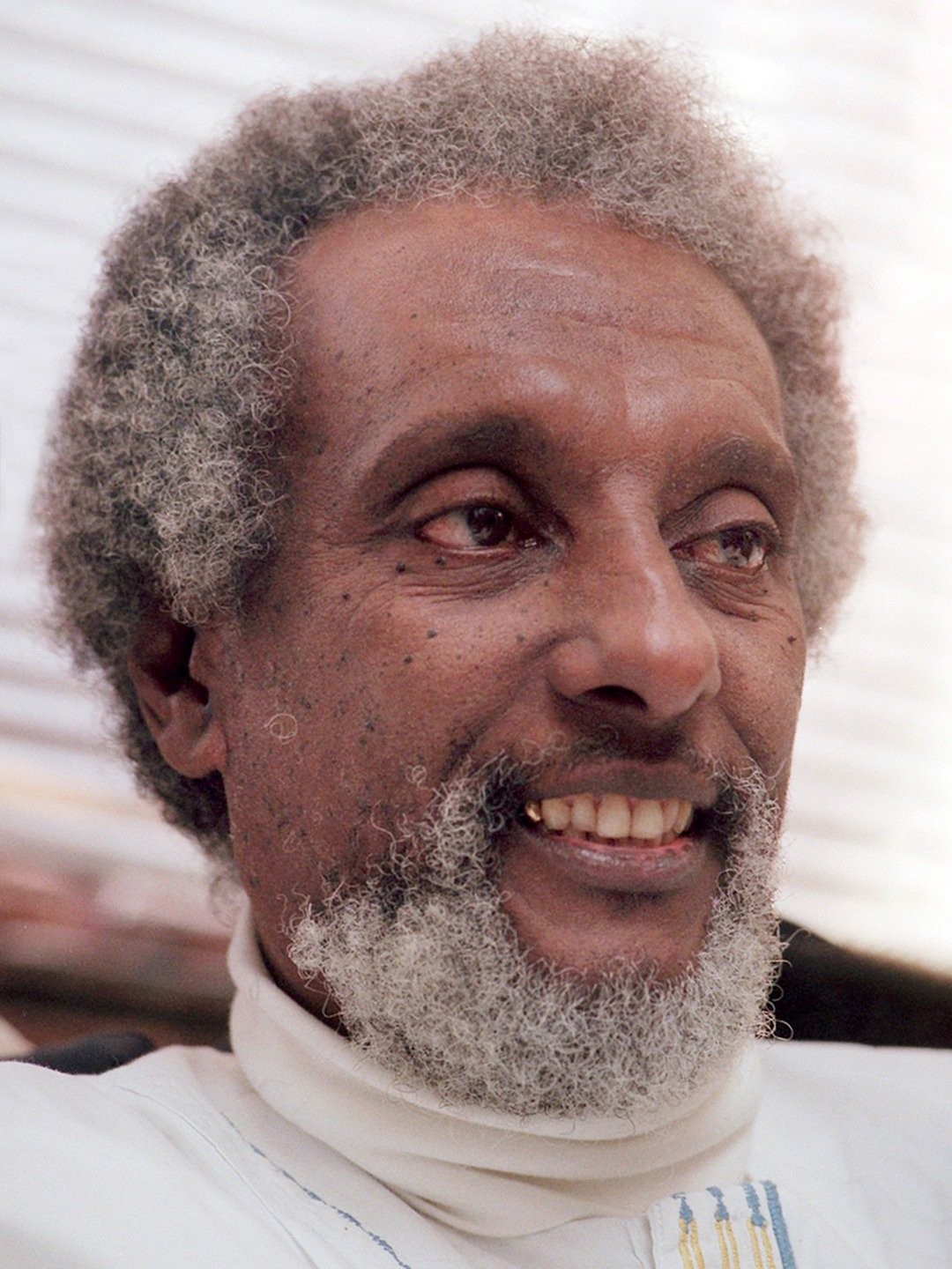 Stokely Carmichael Pictures | Rotten Tomatoes