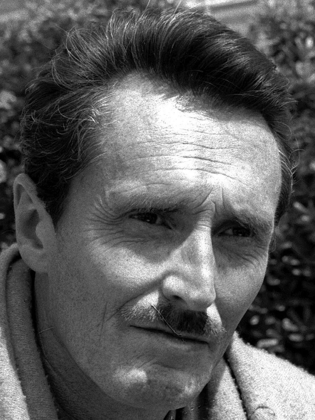 Pietro Germi Pictures | Rotten Tomatoes