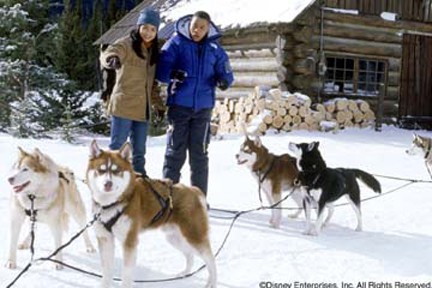 Snow Dogs Cast