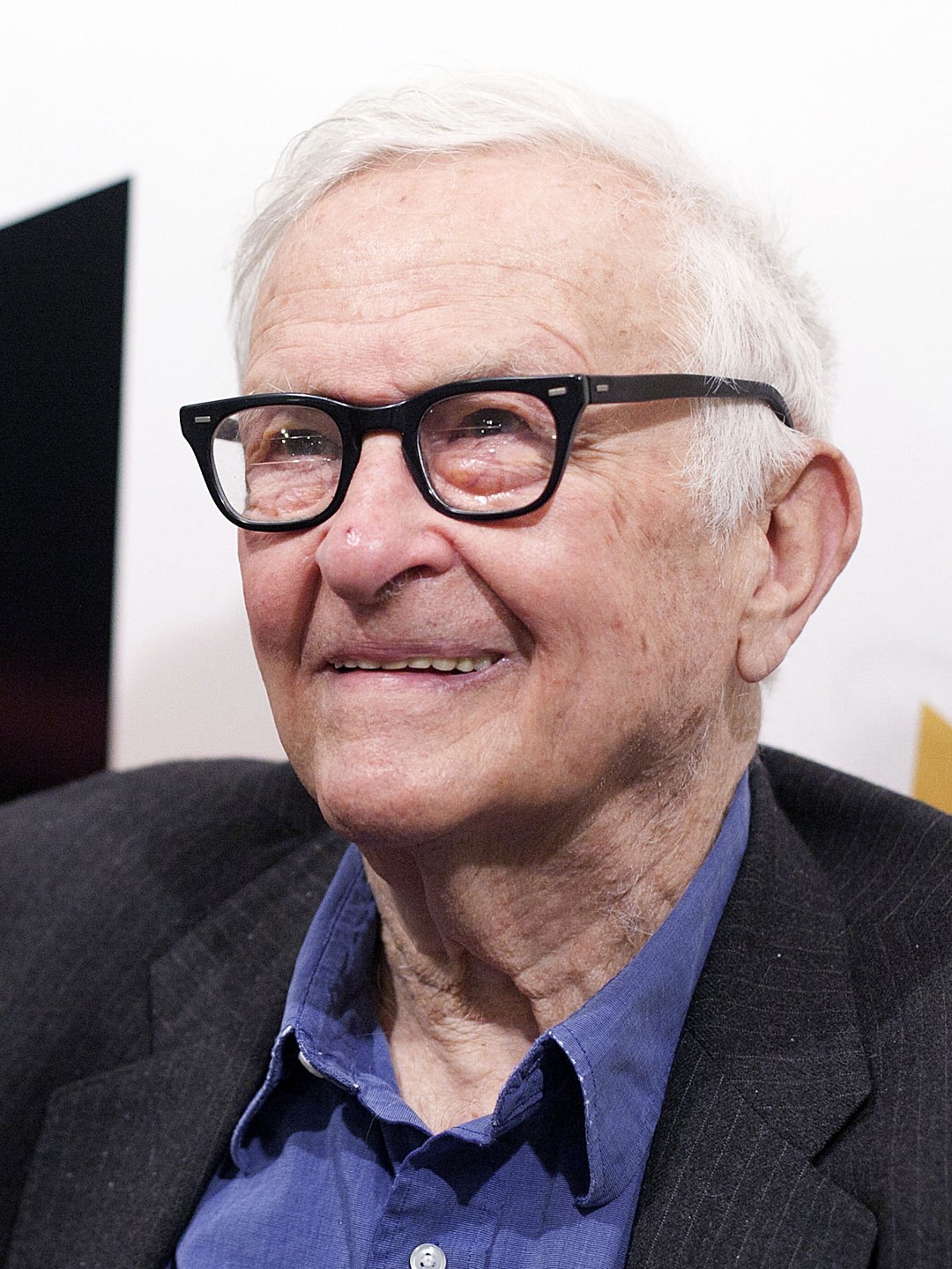 David Maysles Pictures | Rotten Tomatoes