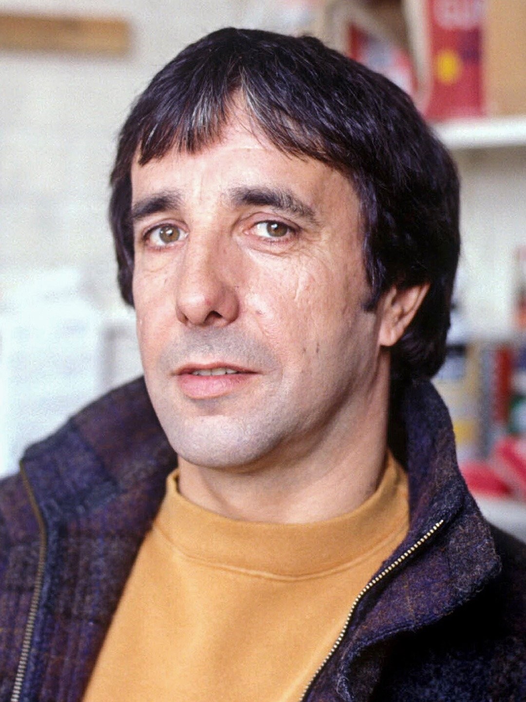 Brian Hibbard Pictures | Rotten Tomatoes