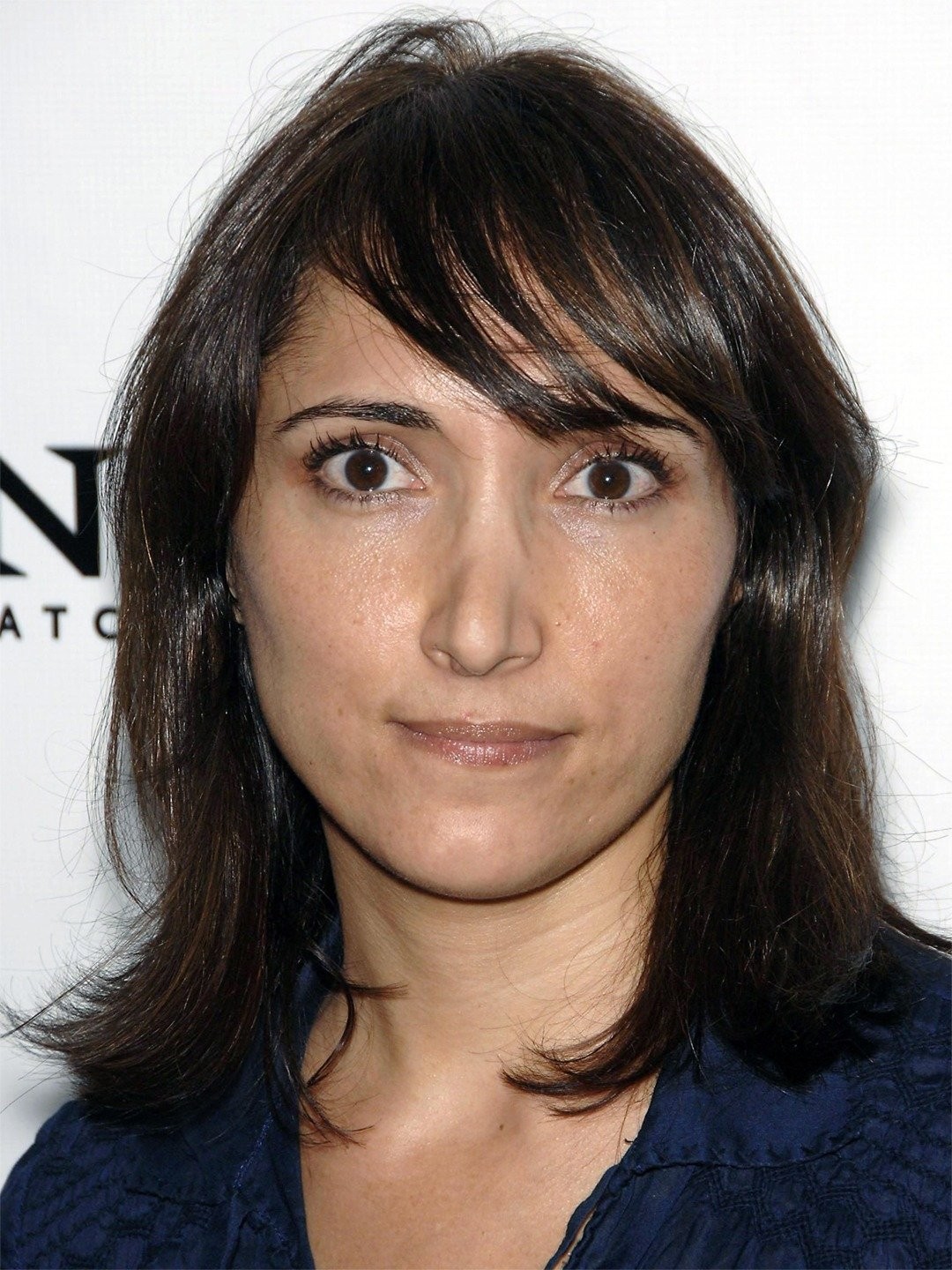 Neda Armian Pictures | Rotten Tomatoes