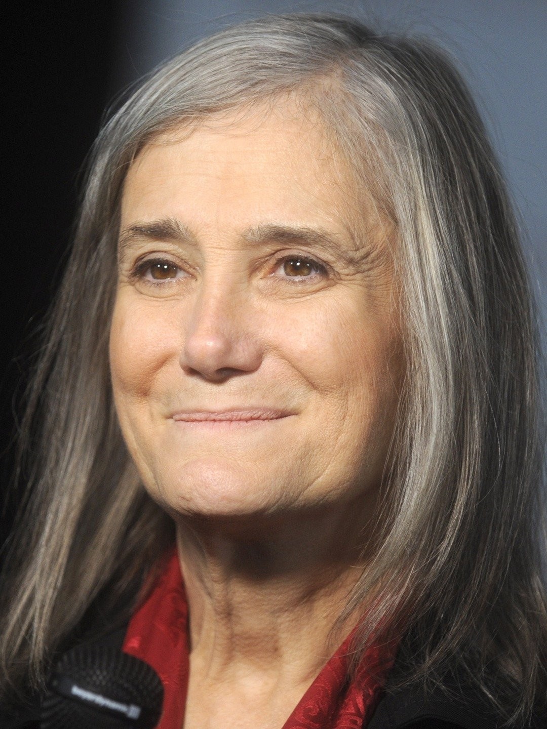 Amy Goodman Pictures | Rotten Tomatoes