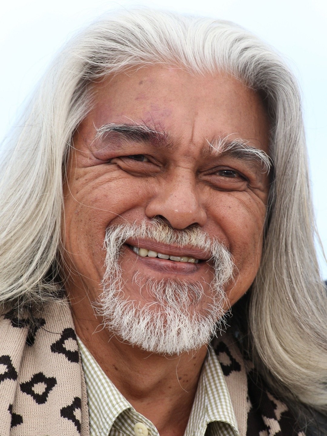 Wan Hanafi Su Pictures | Rotten Tomatoes