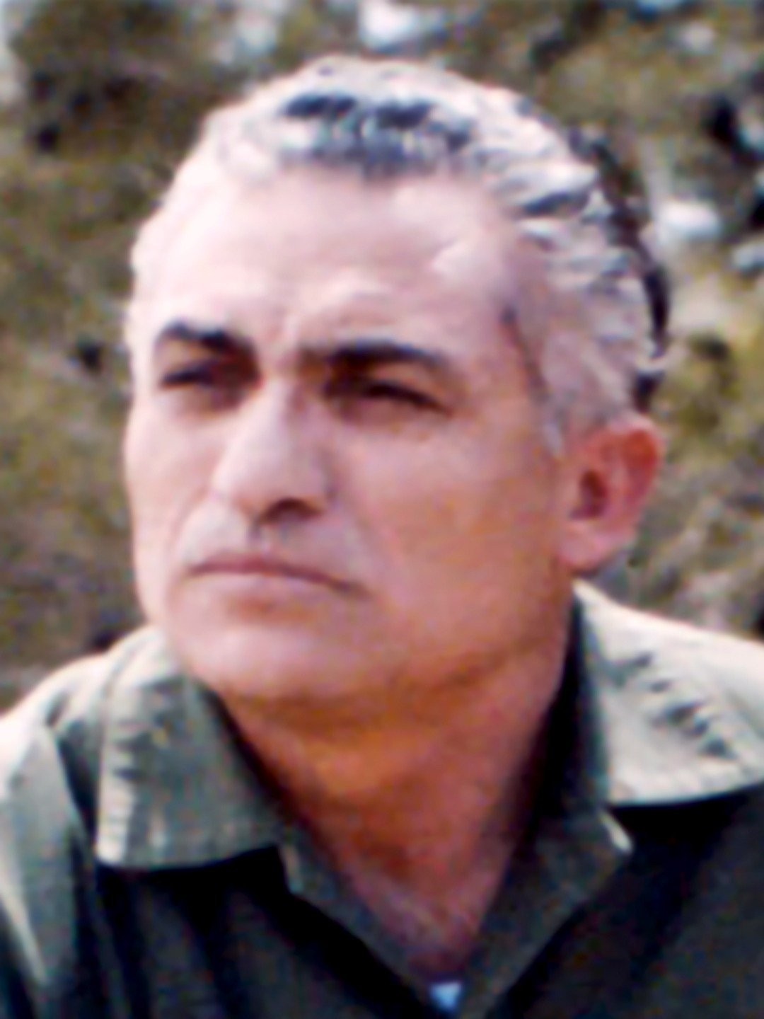 Ali Elayan Pictures | Rotten Tomatoes