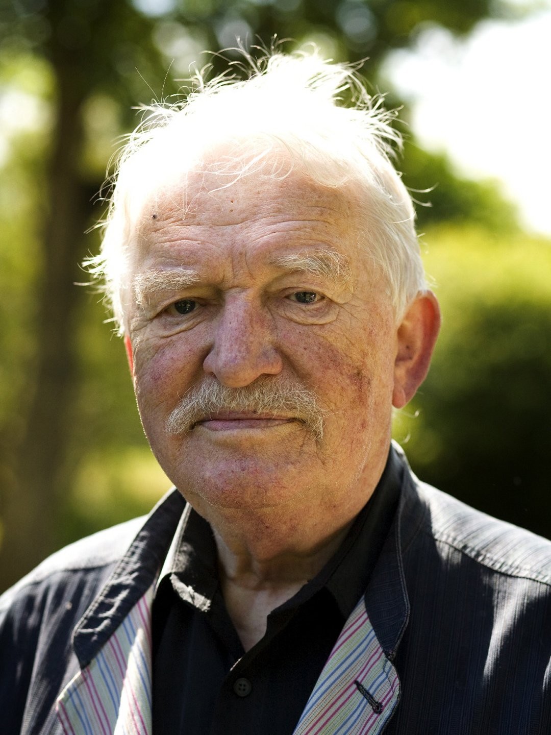 Hans Alfredson Pictures | Rotten Tomatoes