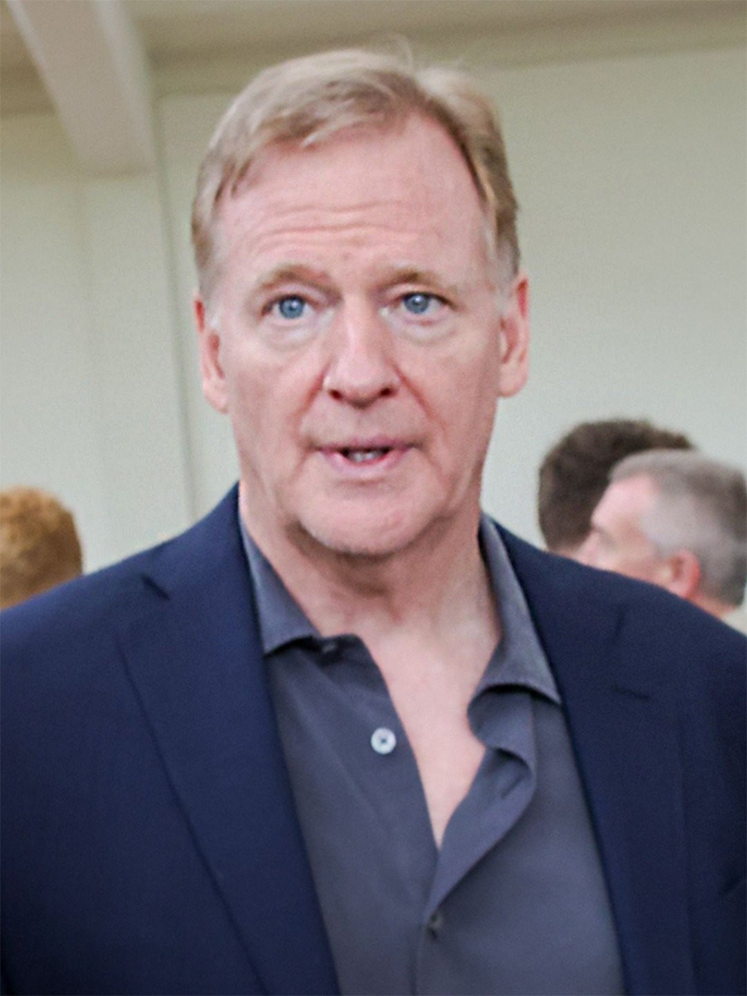 Roger Goodell Pictures | Rotten Tomatoes